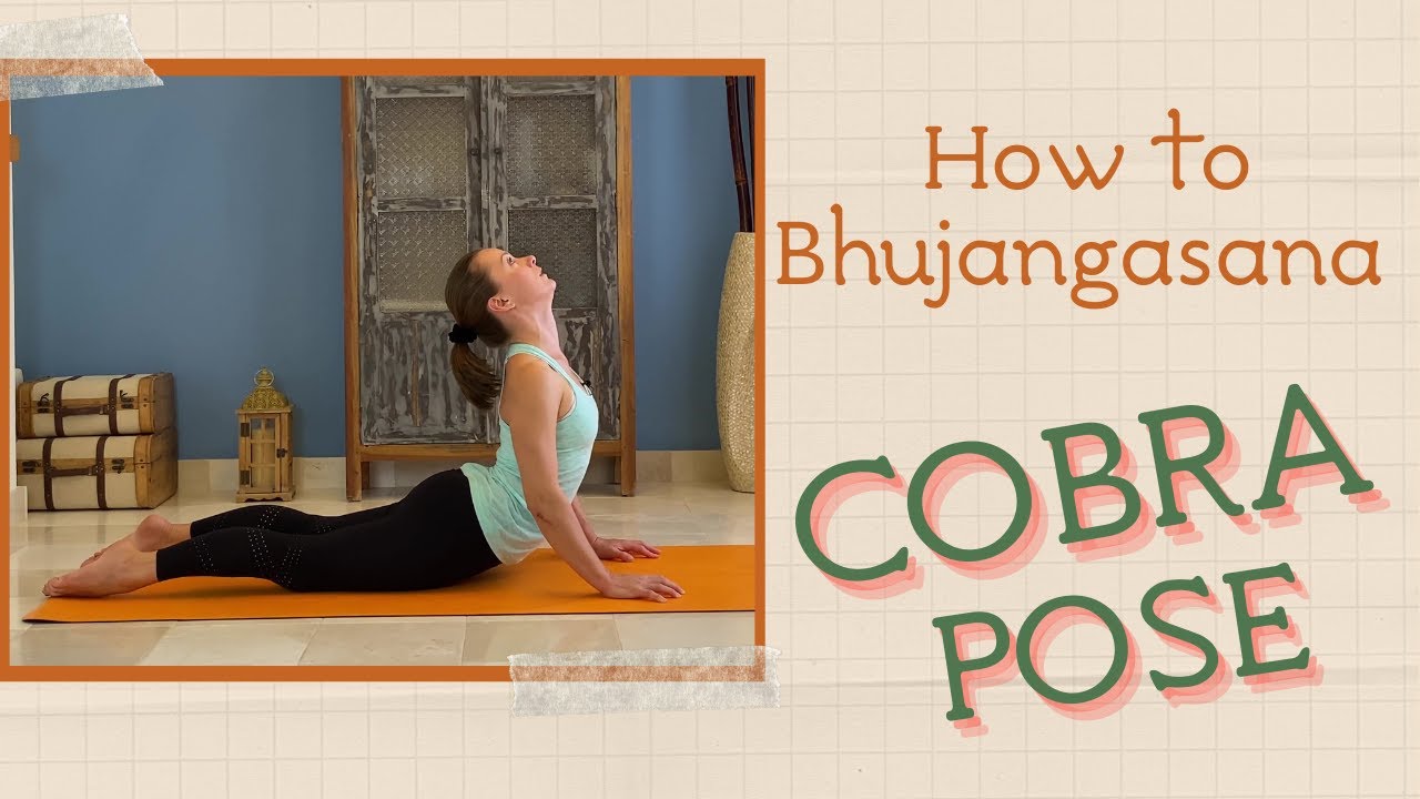 How to Bhujangasana Cobra pose. Foundations of Yoga - YouTube