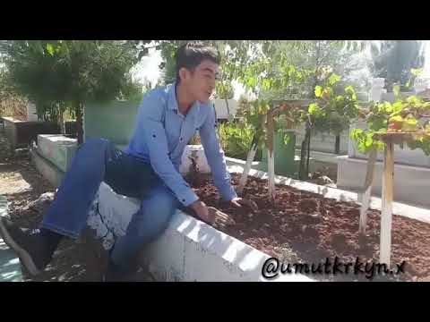 Annesi için ağlayan çocuk