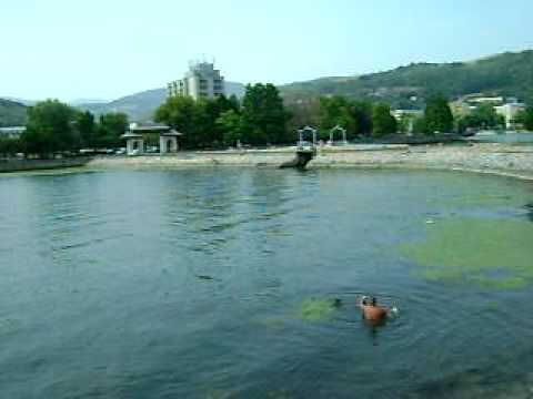 la peste pe Dunare in Orsova - YouTube