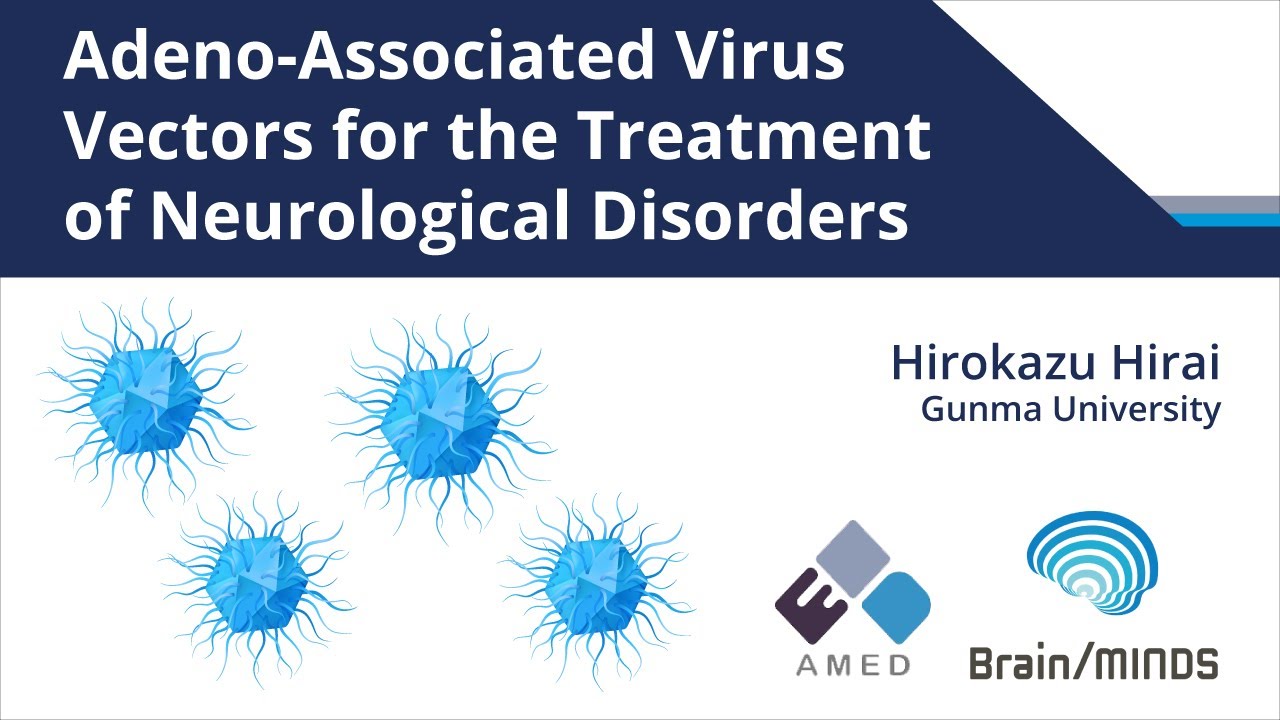 Adeno-Associated Virus Vectors for the Treatment of Neurological ...
