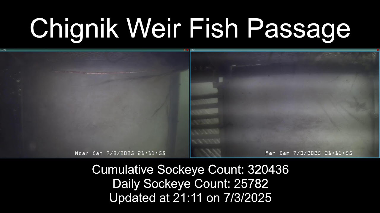 Chignik Weir Fish Passage - YouTube