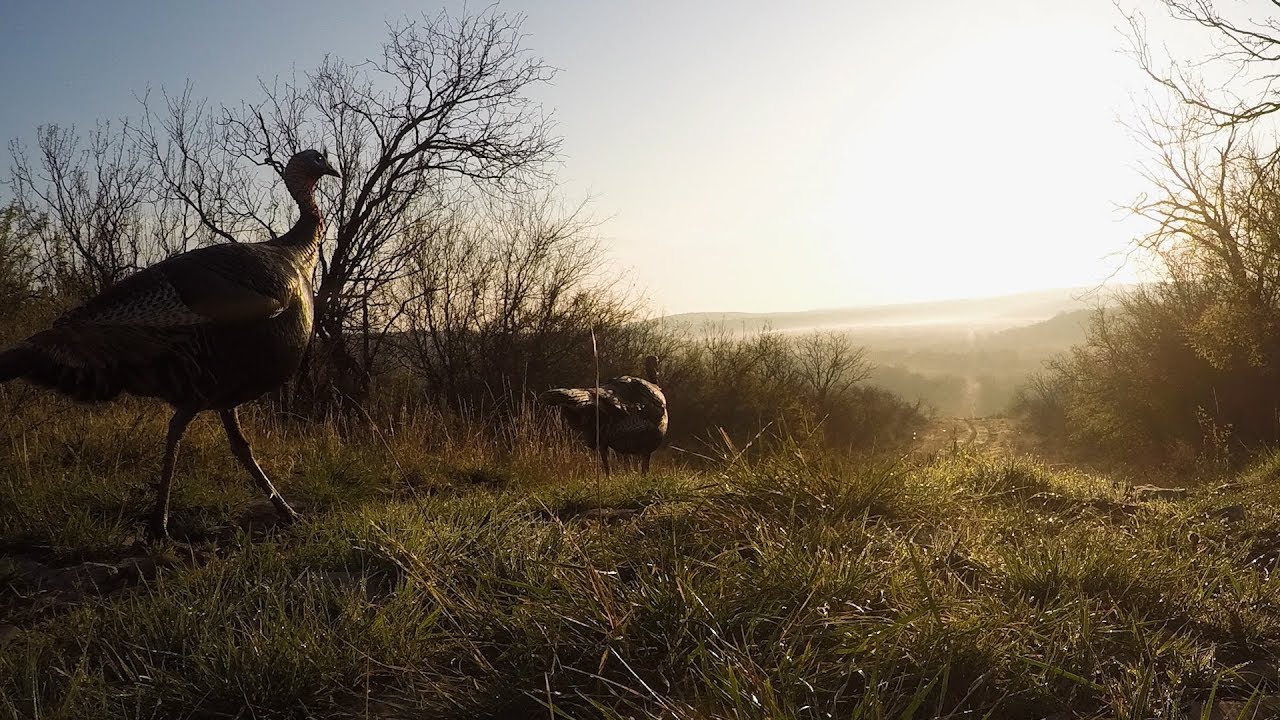 2018 Lone Star Land Steward: Trail Ranch - YouTube
