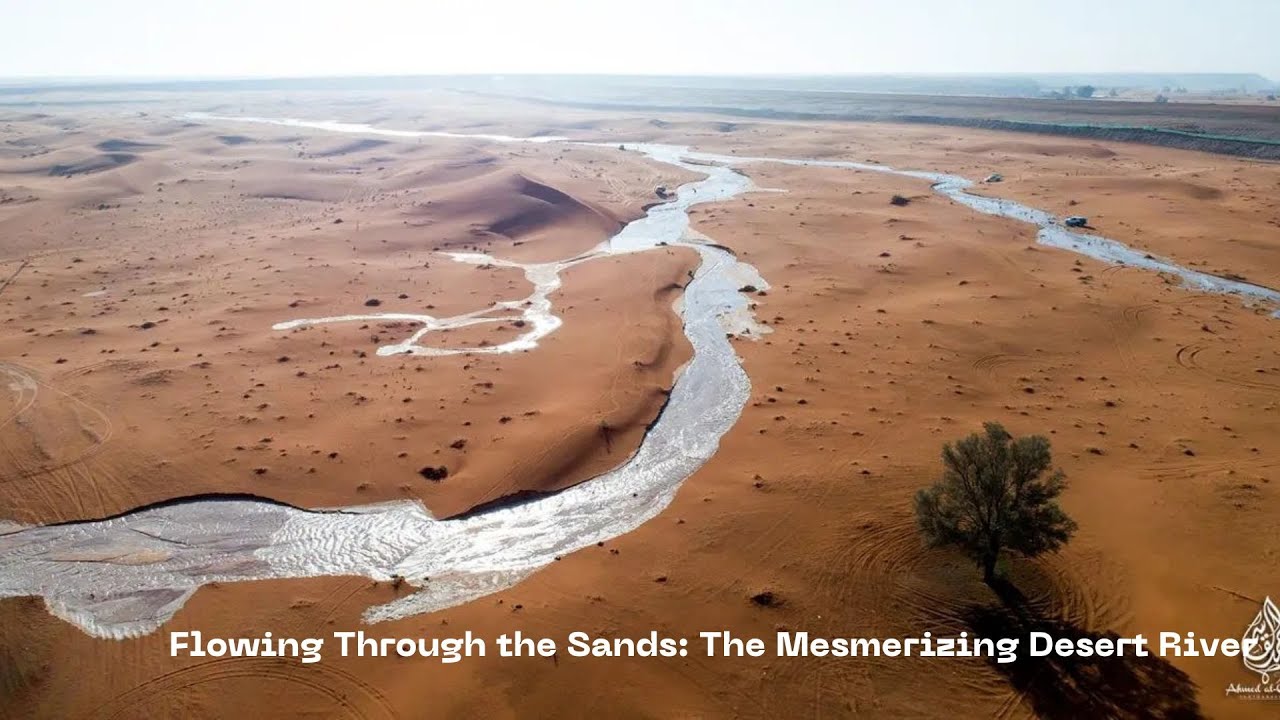 rivers forming in the desert !! | river in desert | Saudi - YouTube