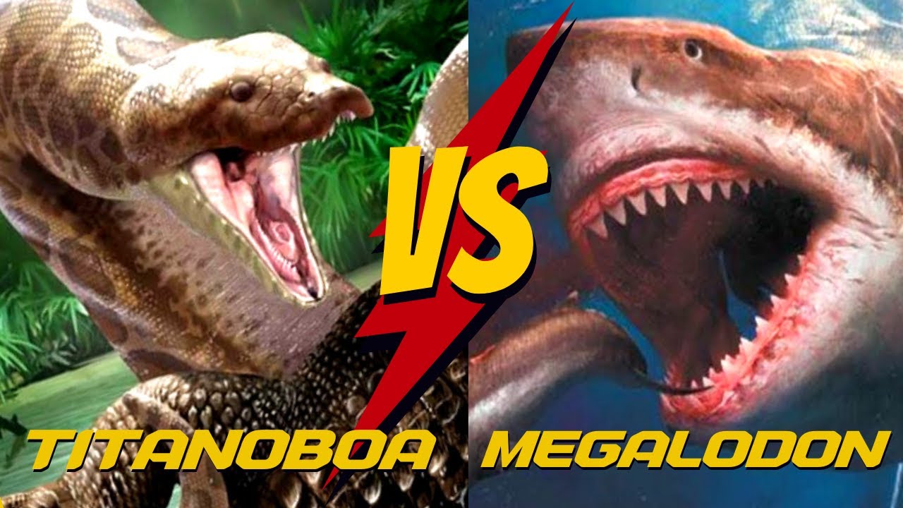 Titanoboa Vs Megalodon - Kim Kazanır ? - YouTube