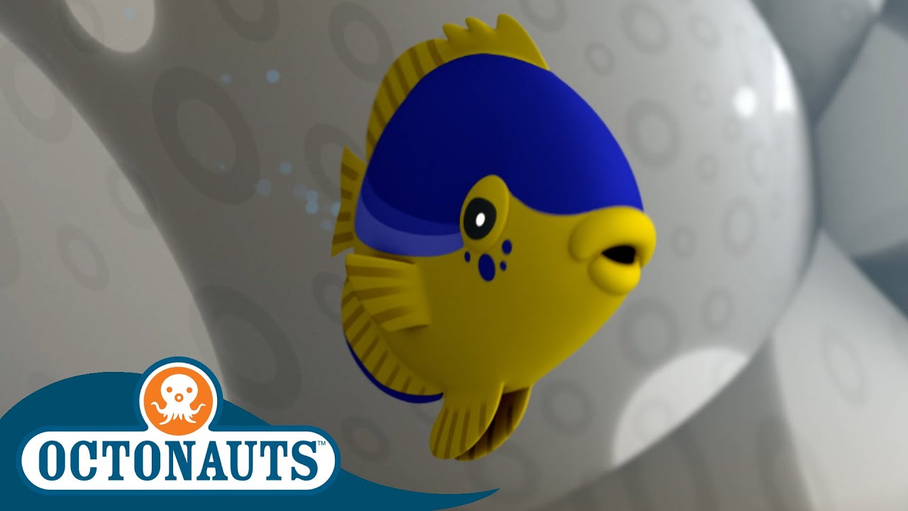 @Octonauts - The Hostile Damsel Fish 🐠 | Series 2 | Full Episode 7 ...