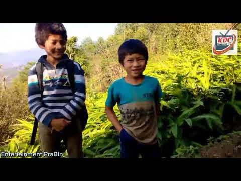 लाईदेउ माया पिरिम अरुलाई दिन्न जोबान तिम्लाई फिरिमा||Yujan Magar - YouTube