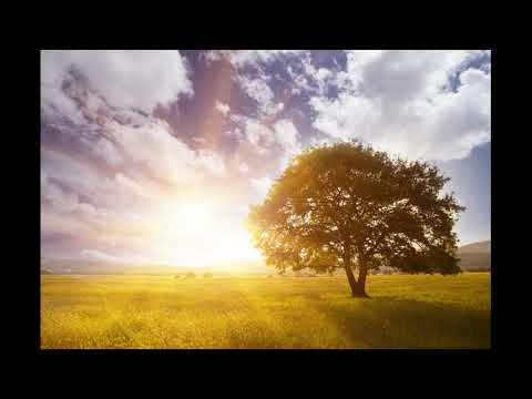 Ulaş Ülker - Saklı Köy
