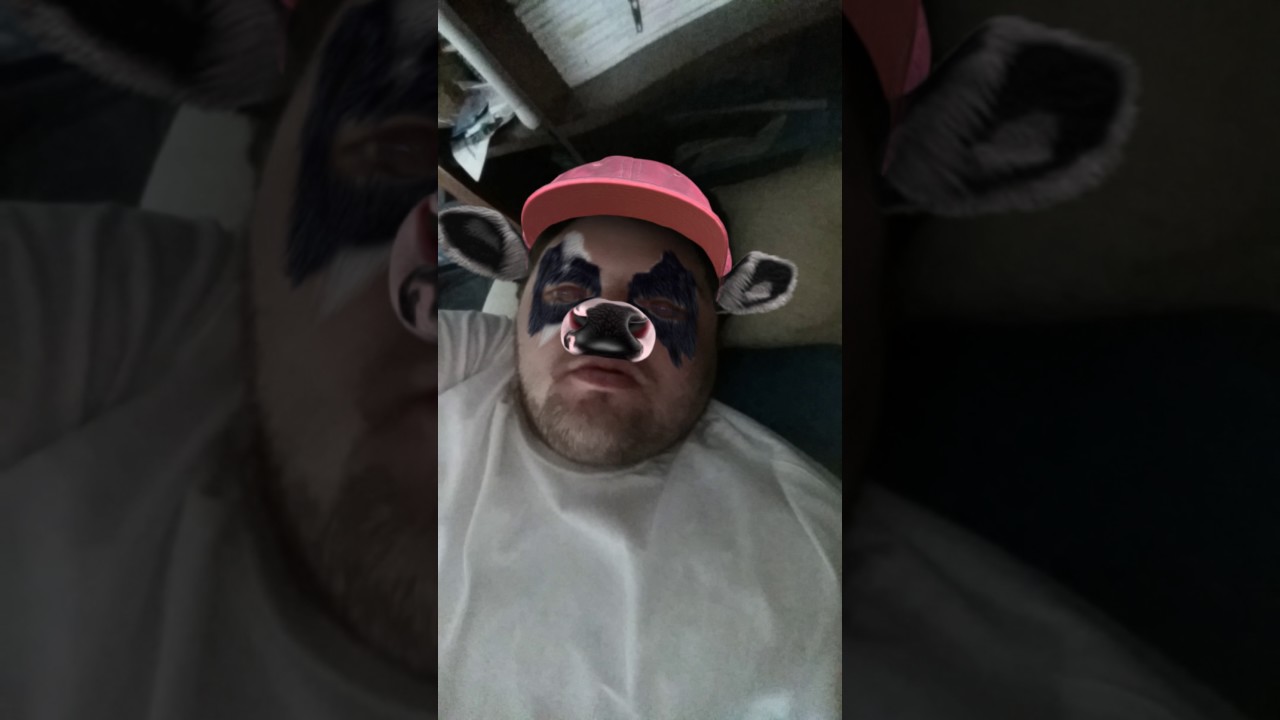 Cow filter from snapchat - YouTube