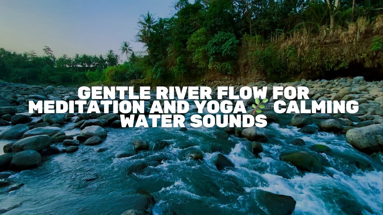 Gentle River Flow for Meditation and Yoga 🌿 Calming Water Sounds - YouTube