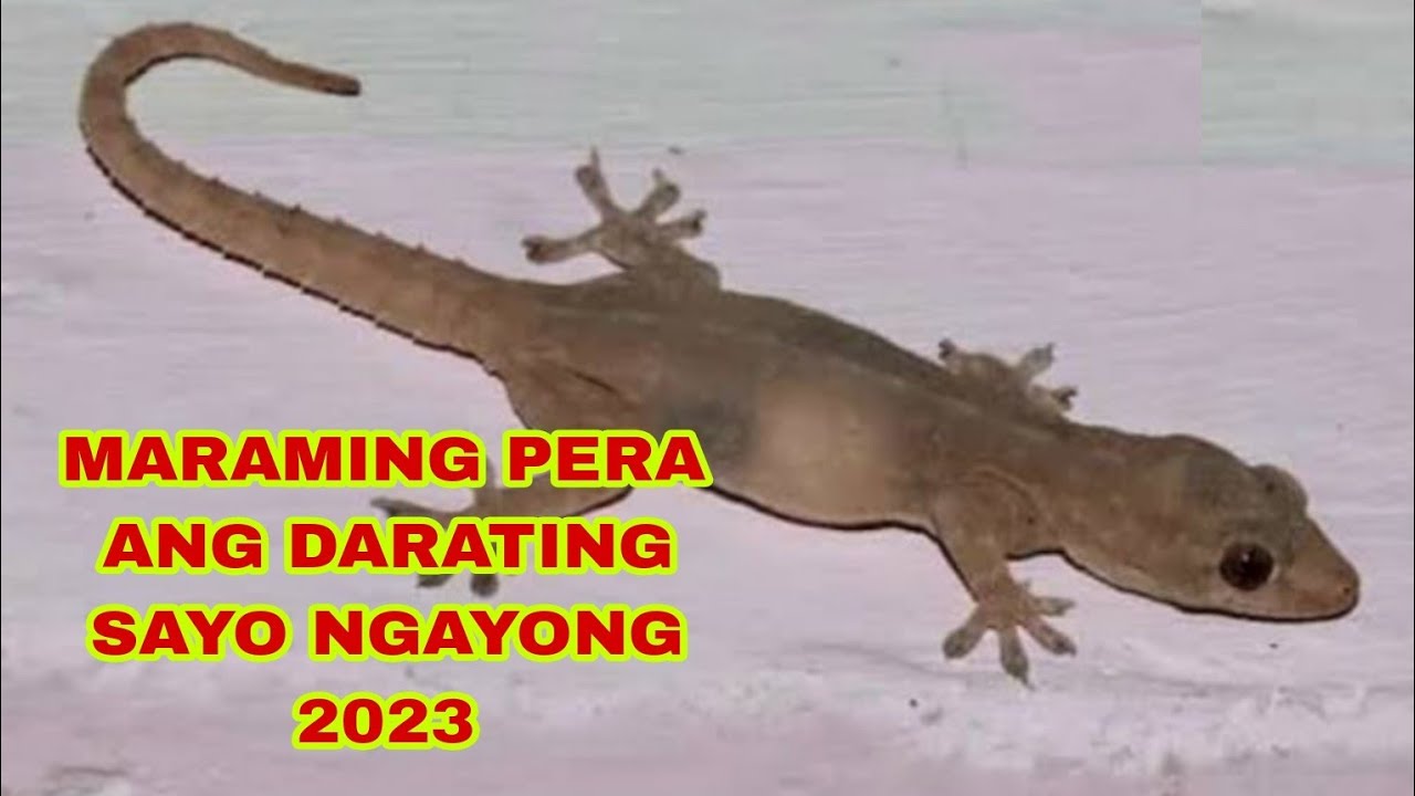 MARAMING PERA ANG DARATING SAYO NGAYONG 2023-APPLE PAGUIO1 - YouTube