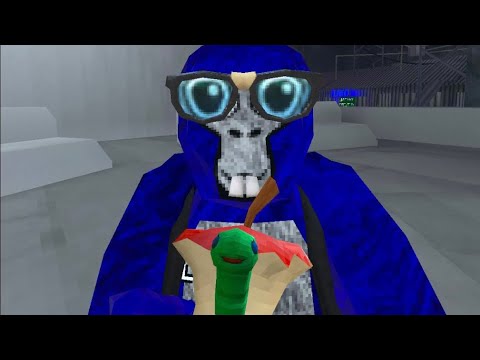 The new gorilla tag update is goofy! - YouTube