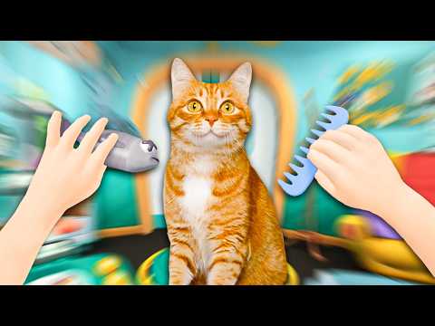 KEDİLERİ İYİLEŞTİRDİM! - iplusd VR