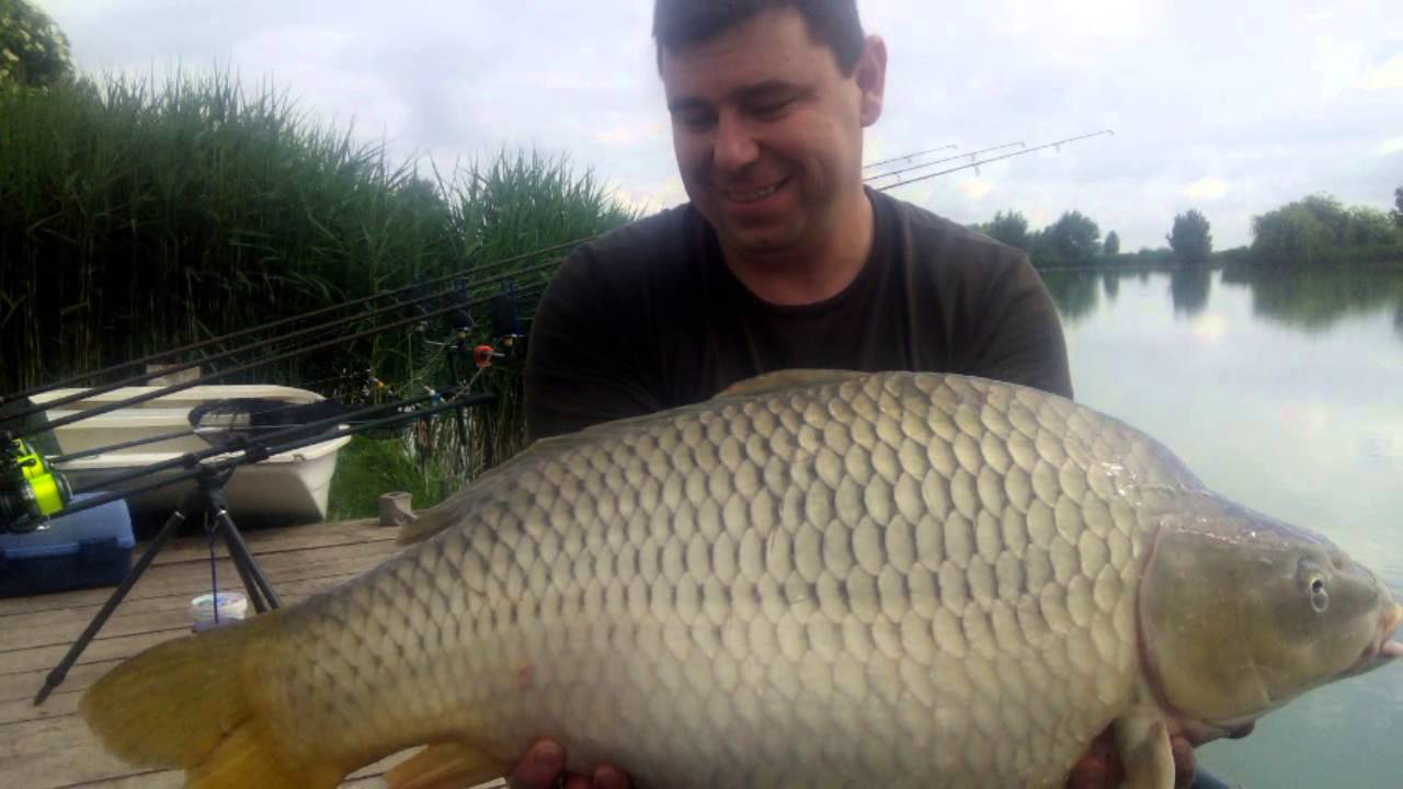 Fish Aréna 2015.05 - YouTube