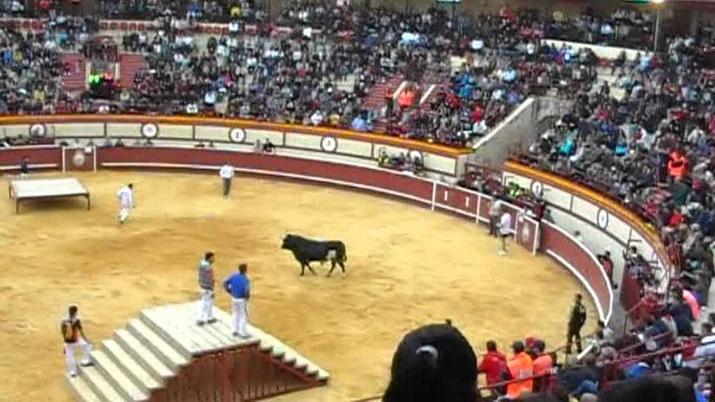 Toro Ratón en Monóvar.MPG - YouTube