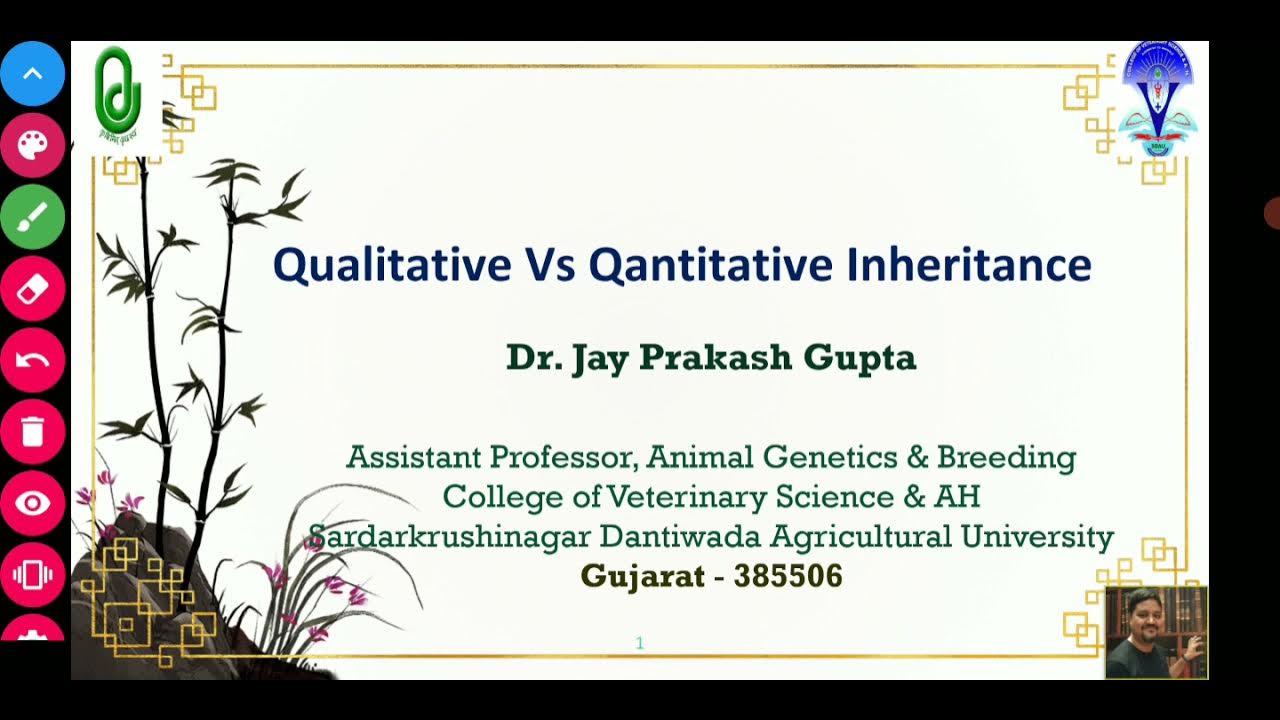Qualitative Vs Quantitative inheritance - YouTube