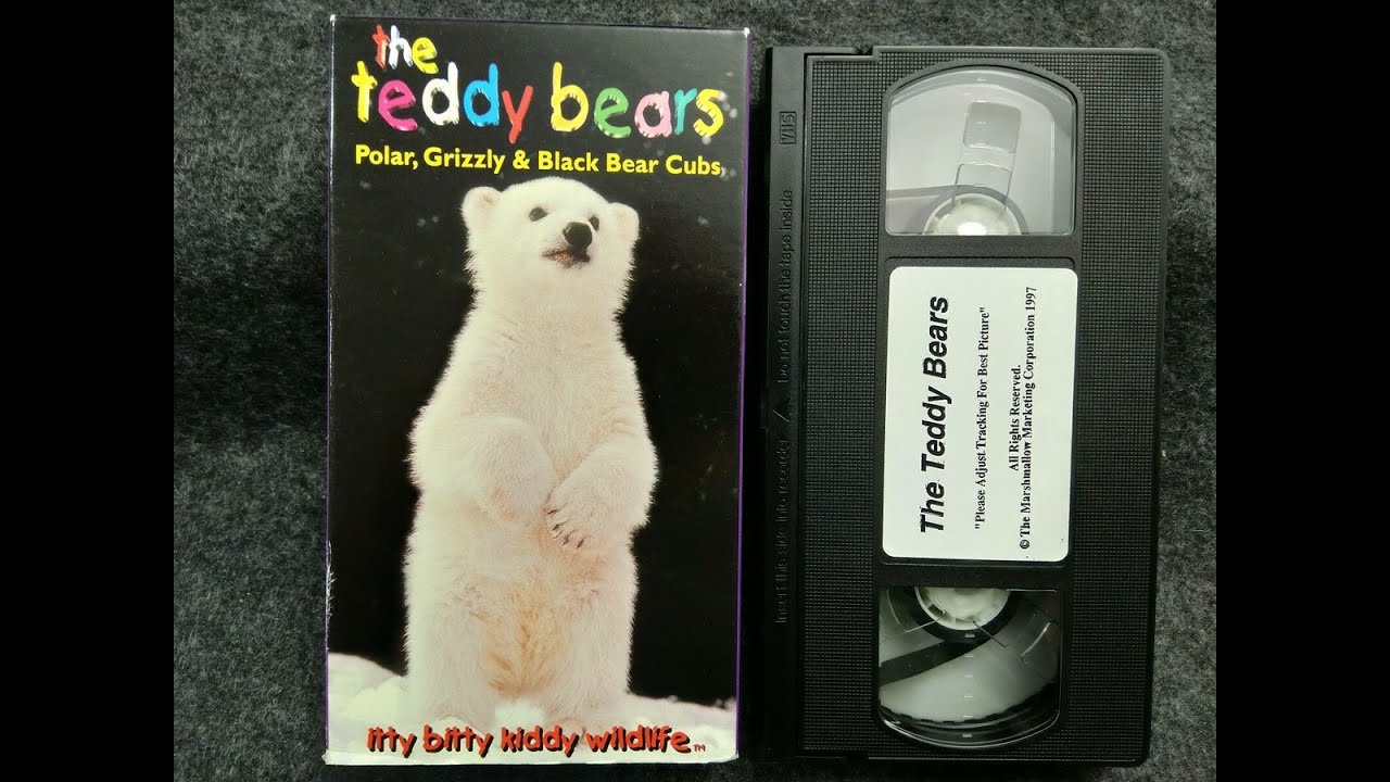 Itty Bitty Kiddy Wildlife: The Teddy Bears (1997) Original VHS (Full ...