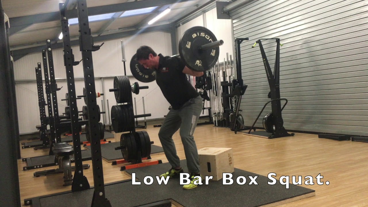 Low Bar Box Squat - YouTube