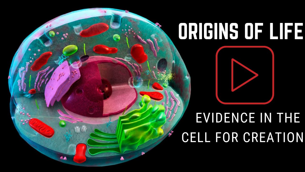 The Origin of Life - Creation Documentary - YouTube