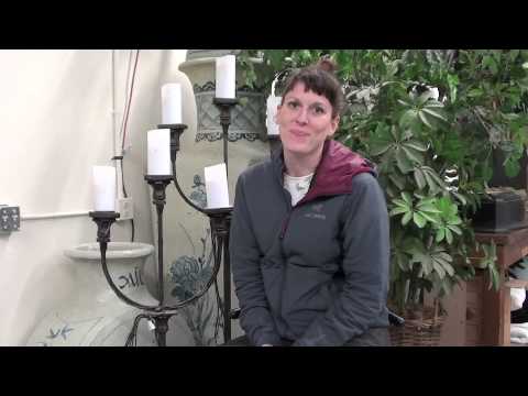 Matt and Ben: Sarah Rose Nottingham as Matt Damon - YouTube