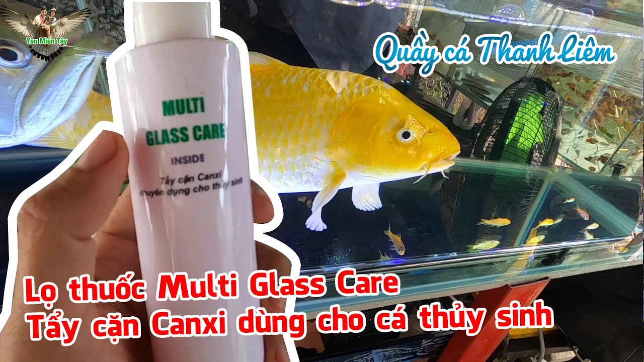 Lọ thuốc Multi Glass Care Tẩy cặn Canxi dùng cho cá thủy sinh có bán tại shop cá cảnh Thanh Liêm ...