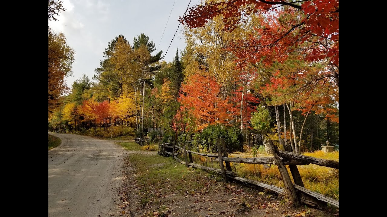 Peaceful ride, Beautiful music, Autumn, fall season Quebec, Canada ...