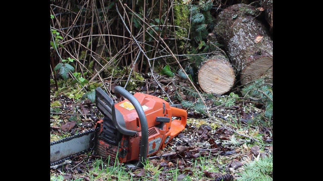 Falling Trees w Bobby & David 2023 - YouTube