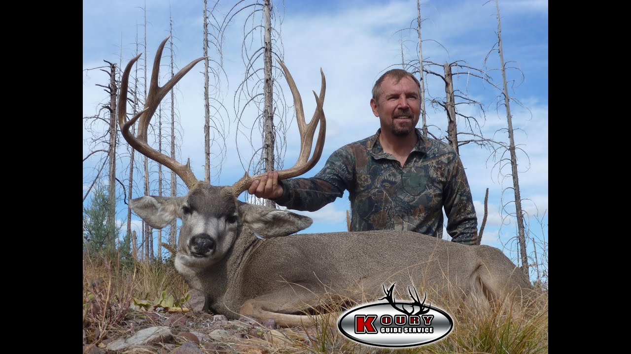 Big AZ 3C Mule Deer Hunt! - YouTube