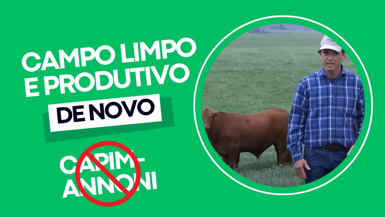 Como controlar o capim-annoni e outras invasoras com método da #Embrapa ...