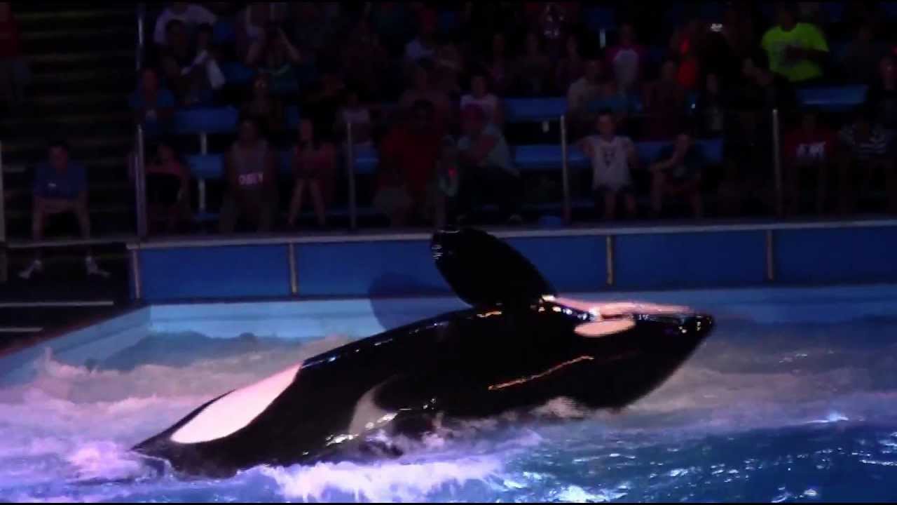 Shamu Rocks - 08.14.2012 - Part 2 - YouTube