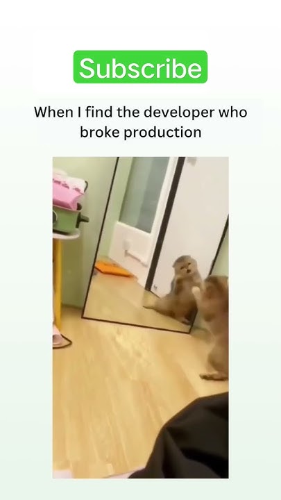 Codingmemes Codingreels Codinghumor Developer Fixingbugs Dd4you Funny Viral Shorts
