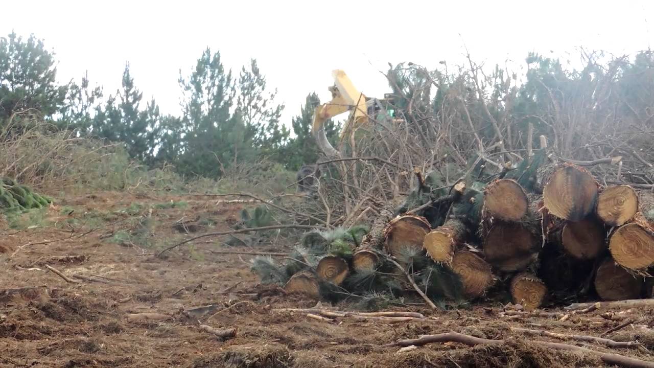 Skidder Tigercat 635D en Brasil Nov'12 - YouTube