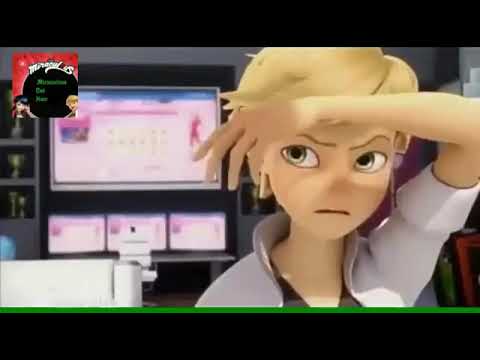 MUCİZE:UĞURBÖCEĞİ VE KARAKEDİ SIFIR TOLERANS