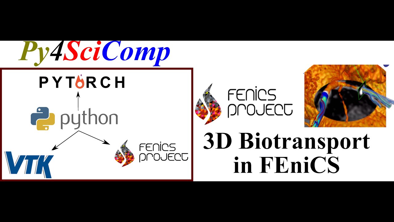 Biotransport (advection-diffusion-reaction) in FEniCS - YouTube