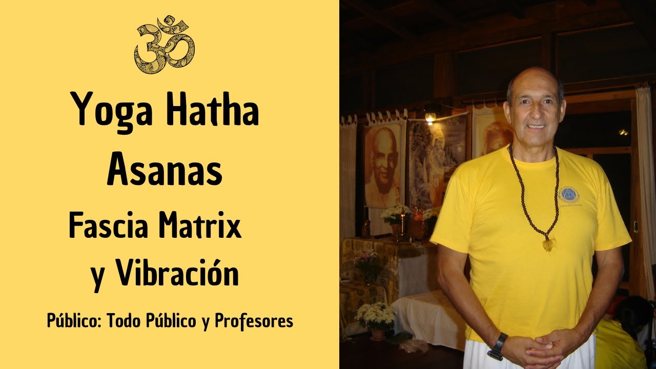 0311 Asanas - Fascia Matrix y Vibración - YouTube