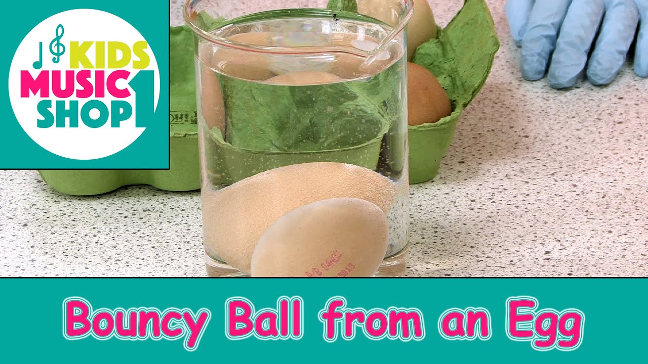 How to make a bouncy ball from an Egg - YouTube