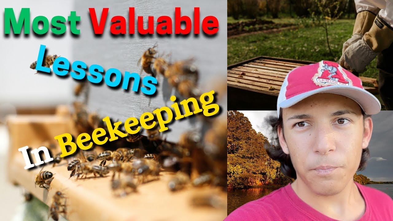 Beekeeping | Most Valuable Lessons I Learned As a Beekeeper - YouTube