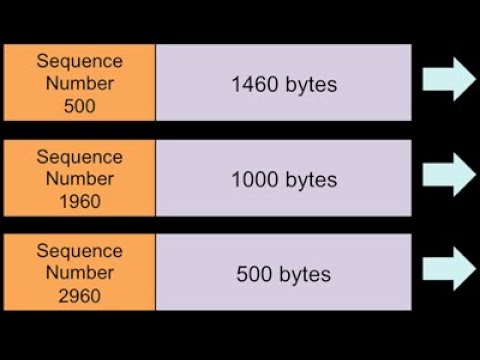 TCP Seq & Ack Numbers [Packet-by-Packet] - YouTube