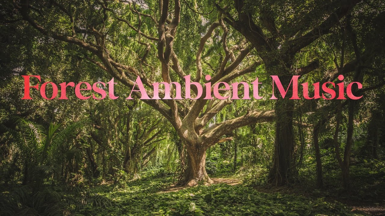 Forest Ambient Music - Birds Chirping Peaceful and Relaxing Sounds ...