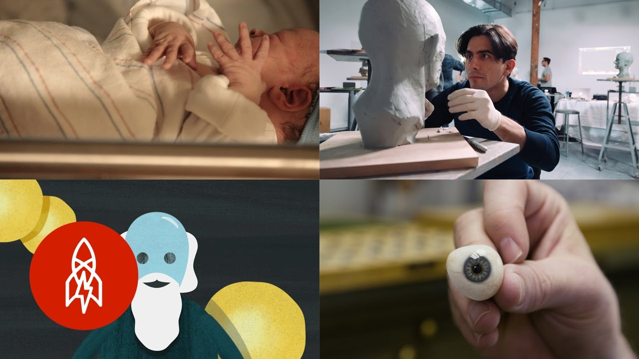 5 Stories Of Incredible Science In Action - YouTube