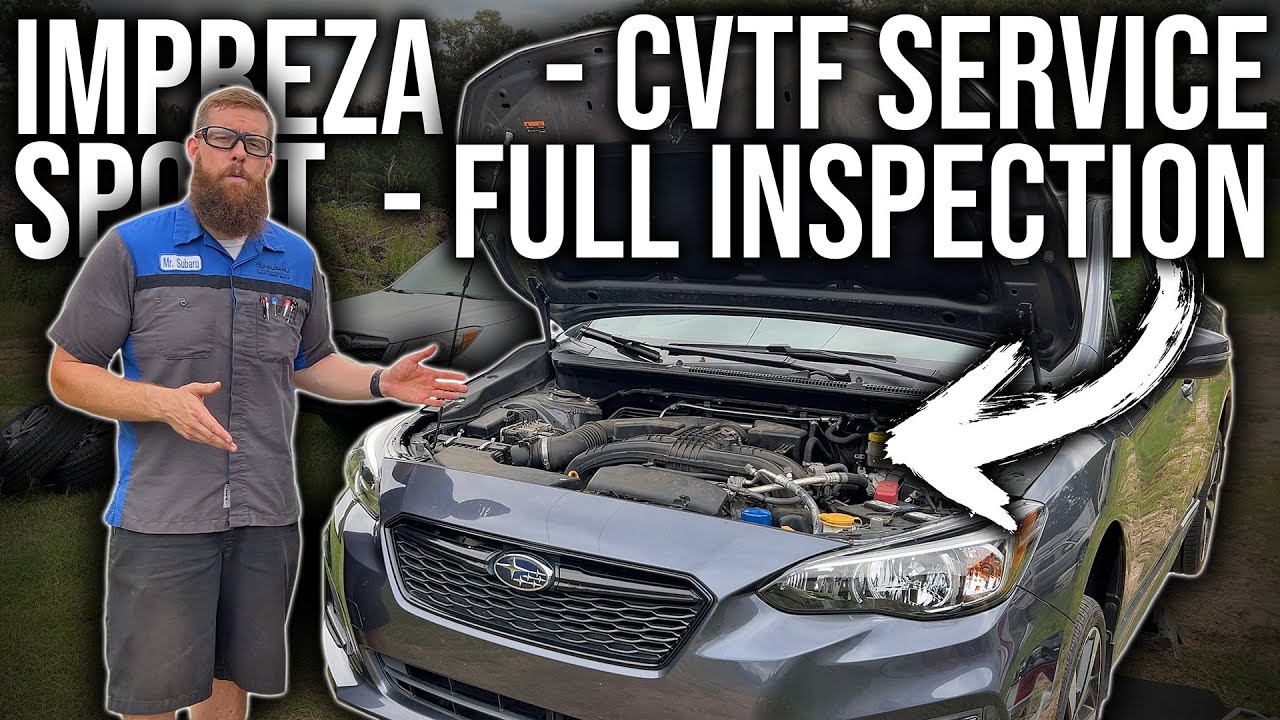 Proper Maintenance & Service: The Key To A Long, Happy, Life With Your ...