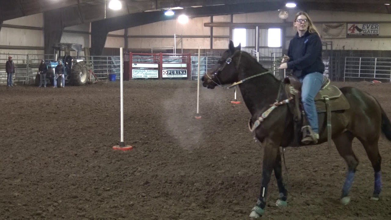 2018 PENN OHIO BARREL RACE***** POLE RACE - YouTube