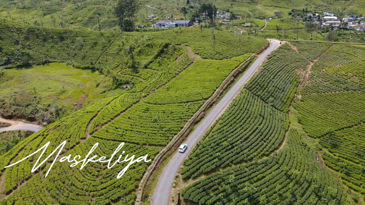 Stunning Drone View of Maskeliya - Upcot Road 🌄 - 4K - YouTube
