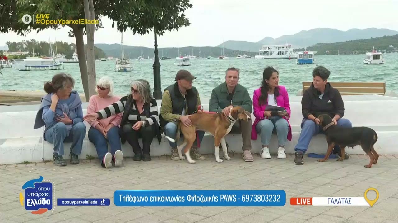 Η φιλοζωική «PAWS» που παλεύει για το καλό των ζώων στις περιοχές του ...