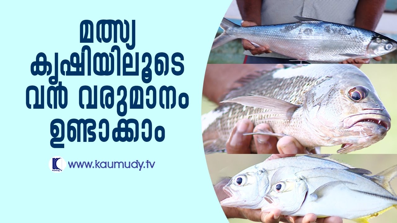 Huge profit from fish farming | Haritham Sundaram EP 115 | Kaumudy TV ...