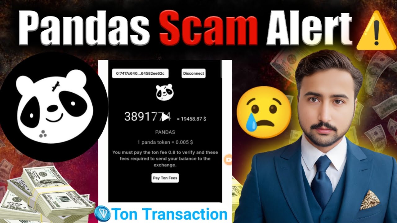 Pandas Airdrop Today Update | Ton Transaction | Bitget Exchange | Panda Airdrop Withdrawal - YouTube