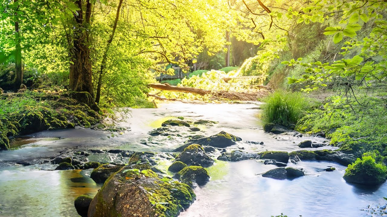 [NO ADS] Calming Music Classroom, Relaxing Piano Music for Classical ...