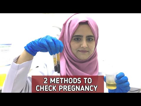 2 methods to check pregnancy in laboratory. home pregnancy test vs lab ...