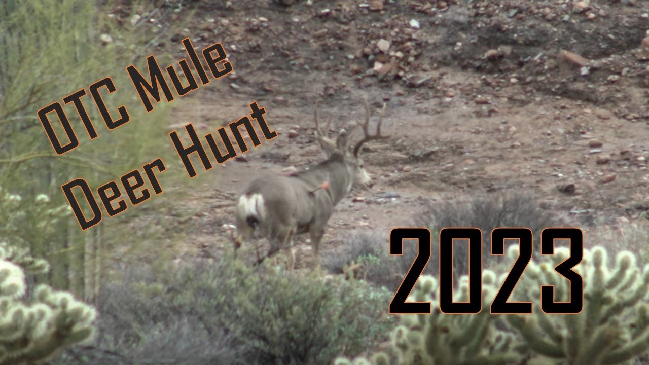 2023 OTC Muley Archery Hunting - YouTube