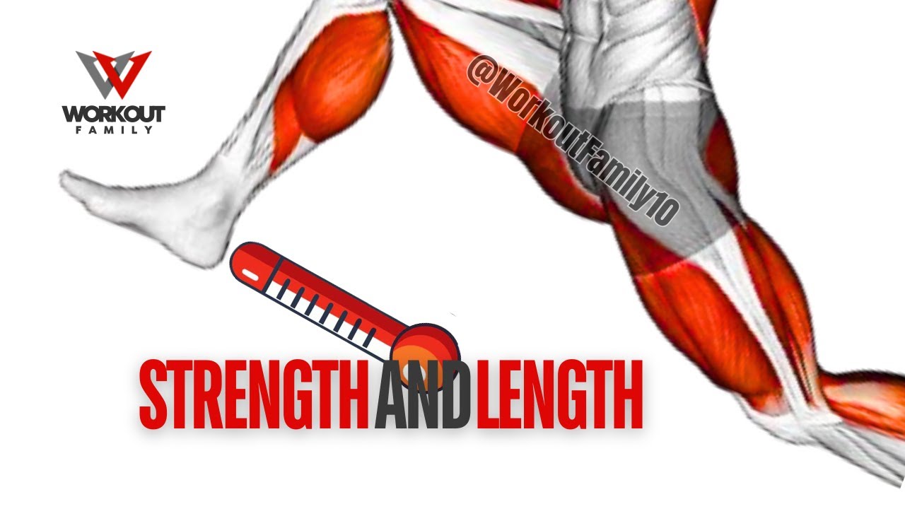 10 Best Exercises to Maximize Strength and Length | Workout to Improve ...