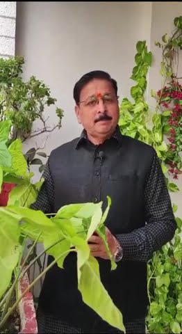 26 February 2025 - YouTube